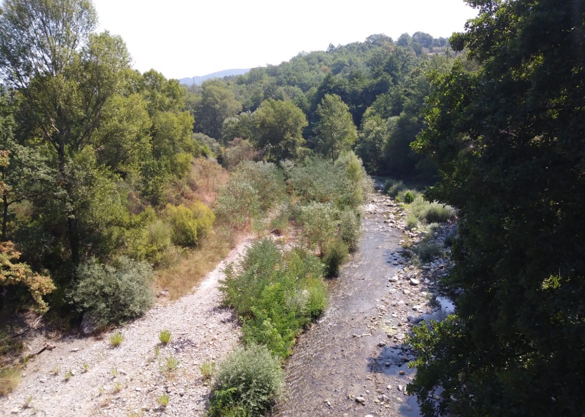 Il cinghiale e la piazza - Basilicata Coast To Coast